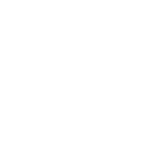 Plethy - Virtual Care Platform - Your Recovery Journey