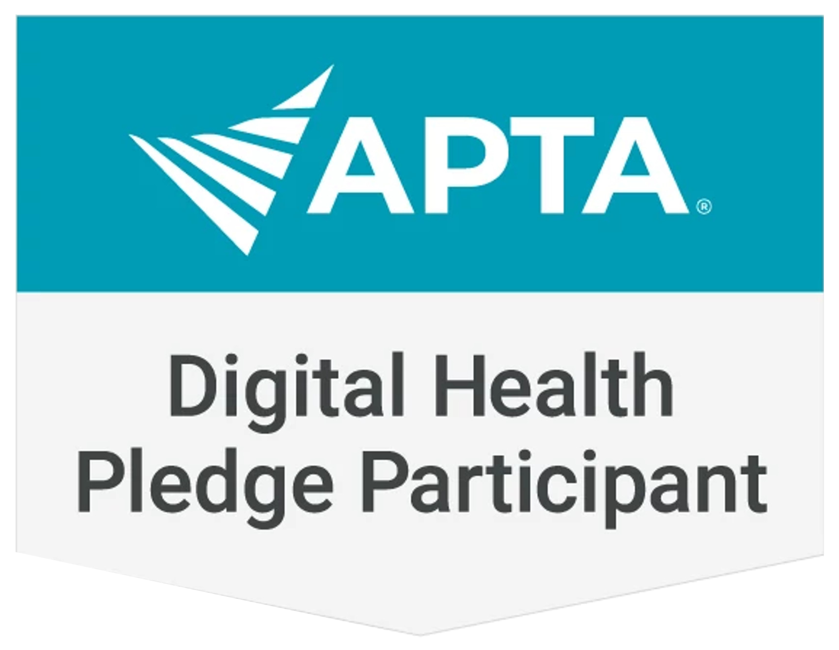 Plethy – Empowering Recovery Through Digital Health Solutions | (669 ...